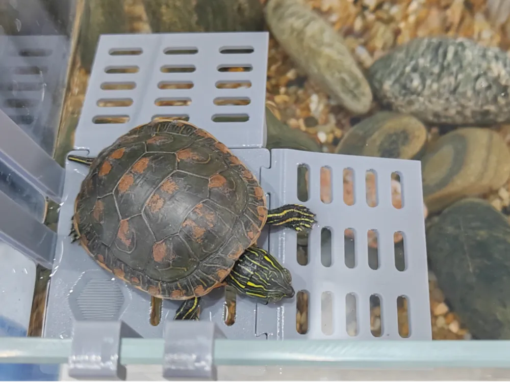 Turtle Basking Platform for Aquarium by 狄云 MakerWorld: Download Free 3D ...