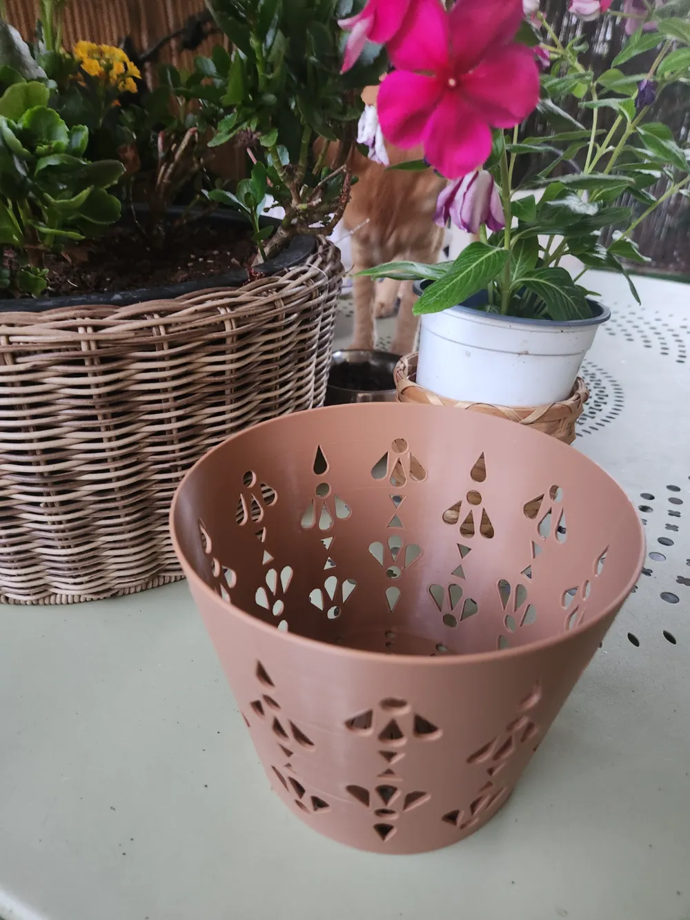 Large Orchid Pot, 6.7 Inch Orchid Pots with Holes - Free 3D Print Model ...