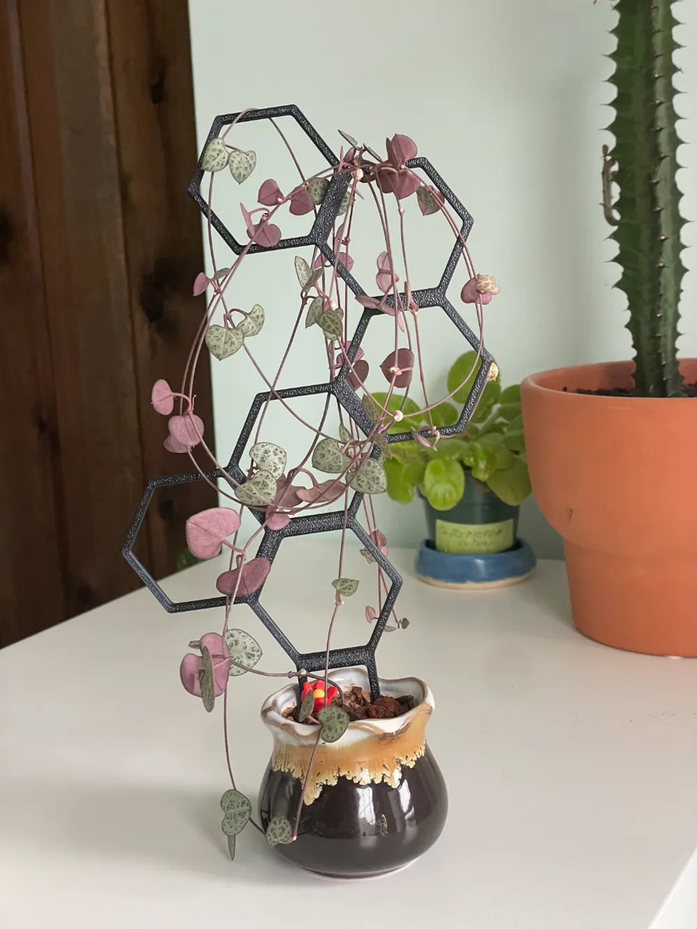 Hexagon House Plant Trellis by Gilad_Pellaeon - MakerWorld