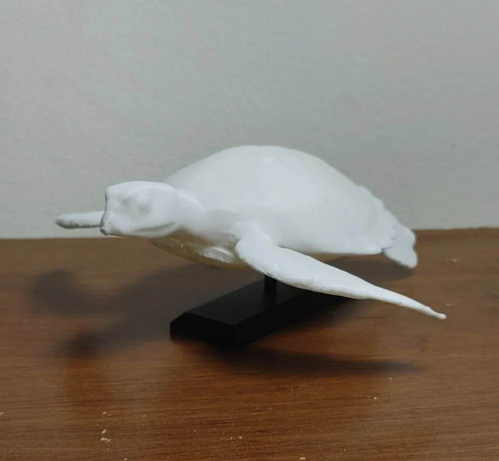 Sea Turtle Mount by Fish Prints MakerWorld: Download Free 3D Models