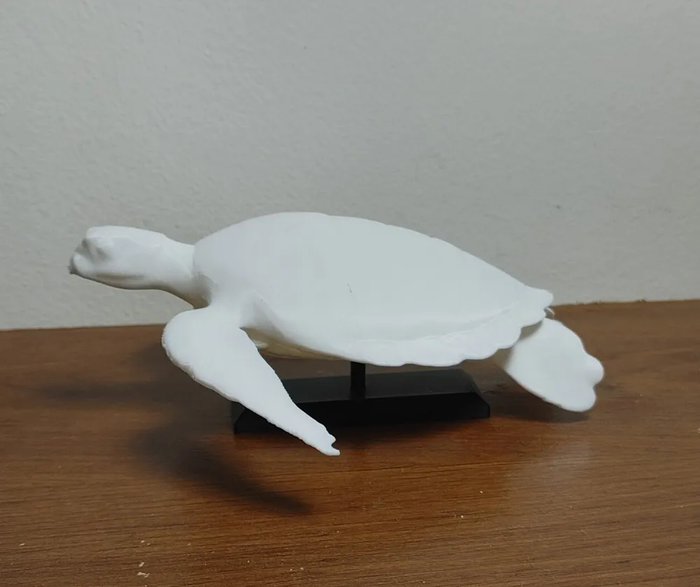 Sea Turtle Mount by Fish Prints MakerWorld: Download Free 3D Models