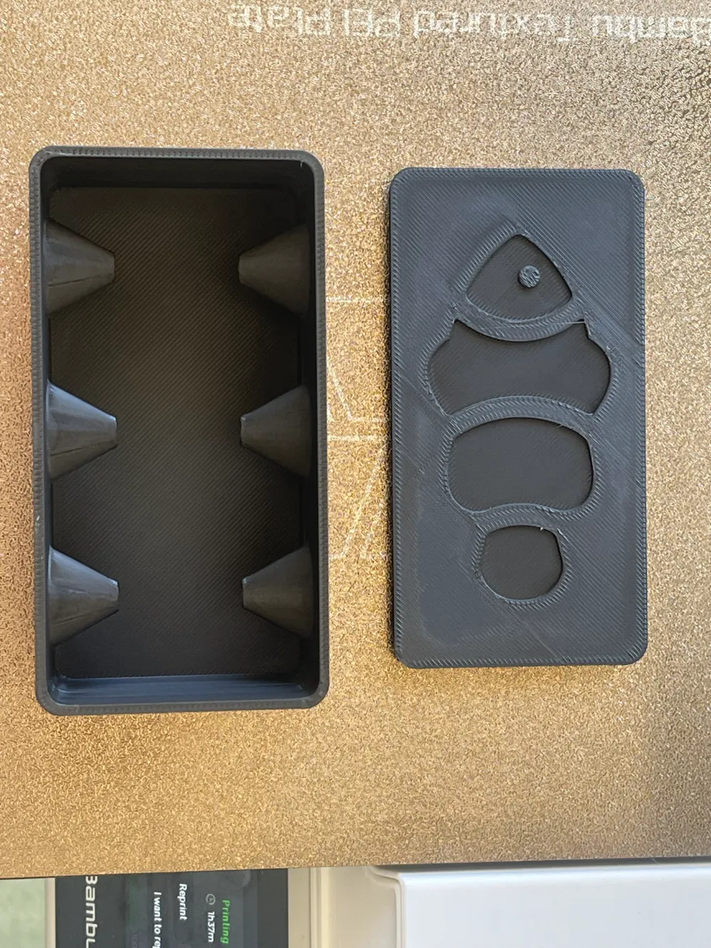 Bristle Worm Trap Remixed by Webb901 MakerWorld: Download Free 3D Models