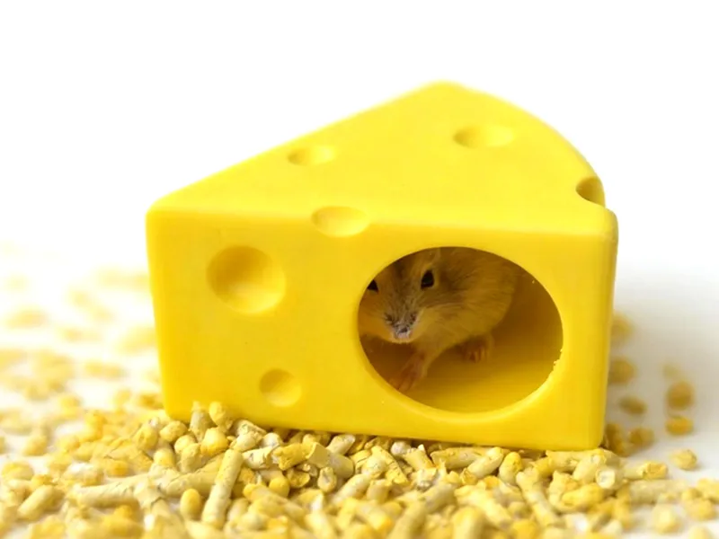 Cheese-shaped Hamster House Hideout - Free 3D Print Model - MakerWorld