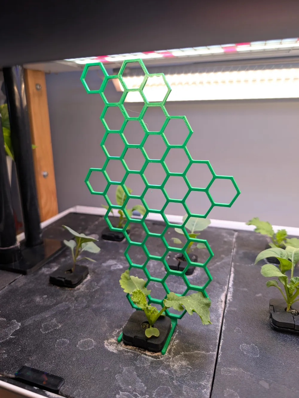 Rise Garden Plant Support Trellis by Concretecabbages MakerWorld: Download Free 3D Models