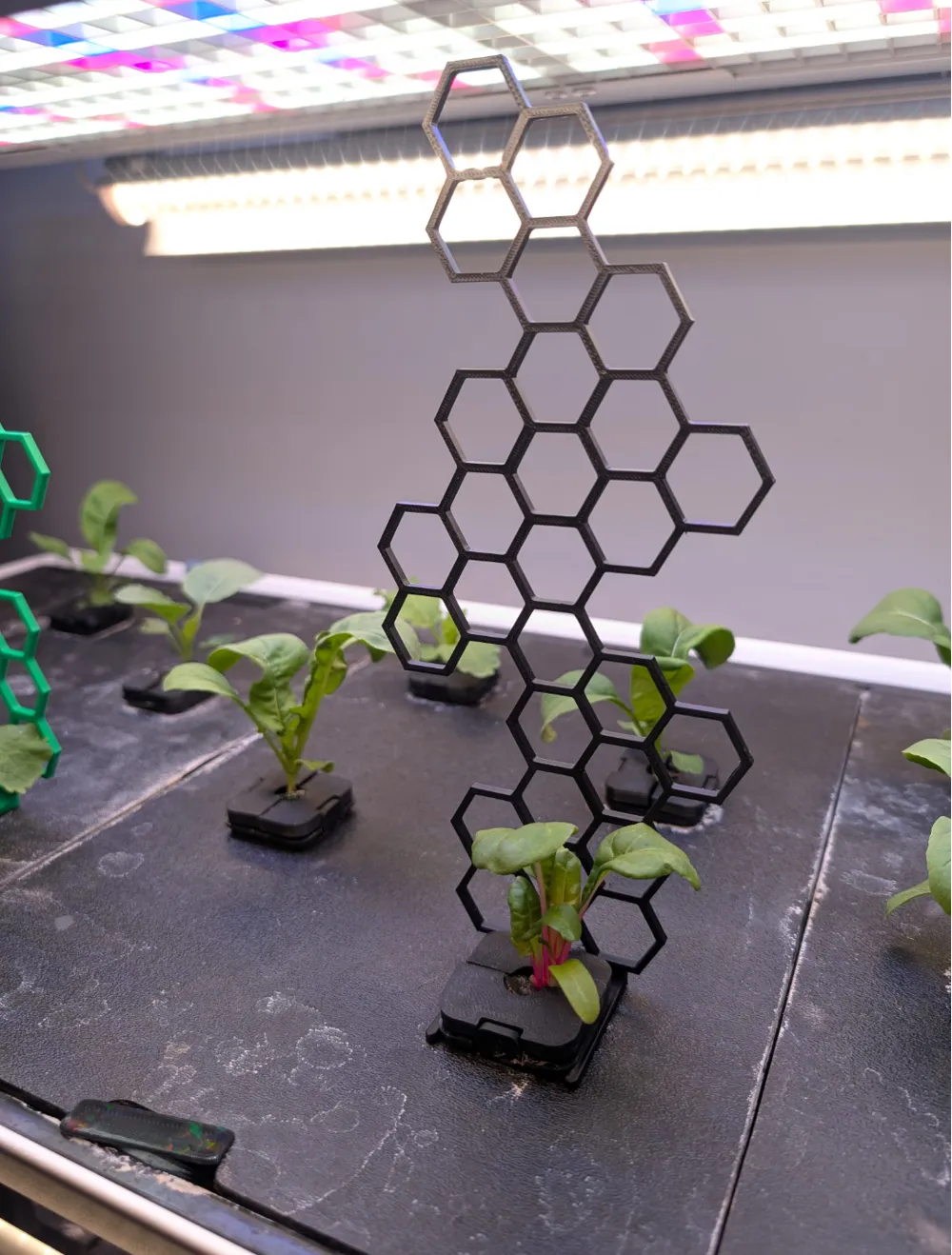 Rise Garden Plant Support Trellis by Concretecabbages MakerWorld ...