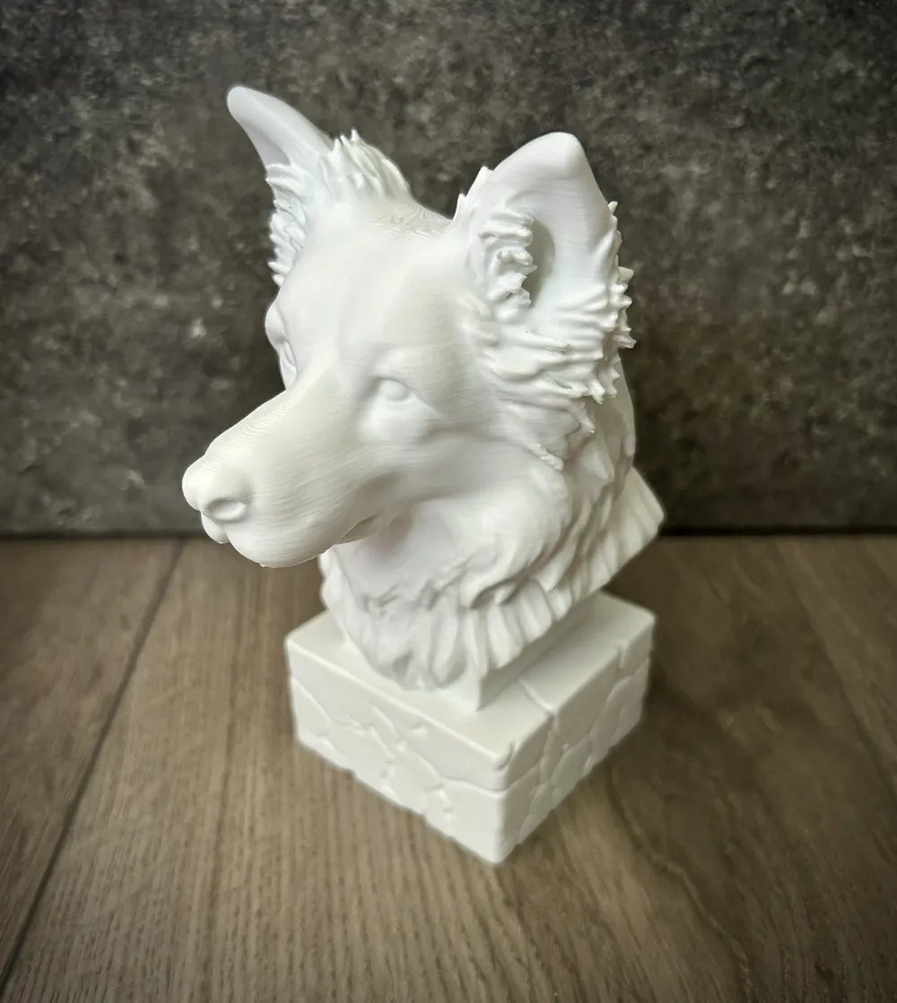 Realistic Border Collie Bust Dog by WholeAnimal MakerWorld: Download ...