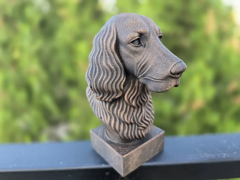 SETTER DOG BUST by Messy_Panda MakerWorld: Download Free 3D Models