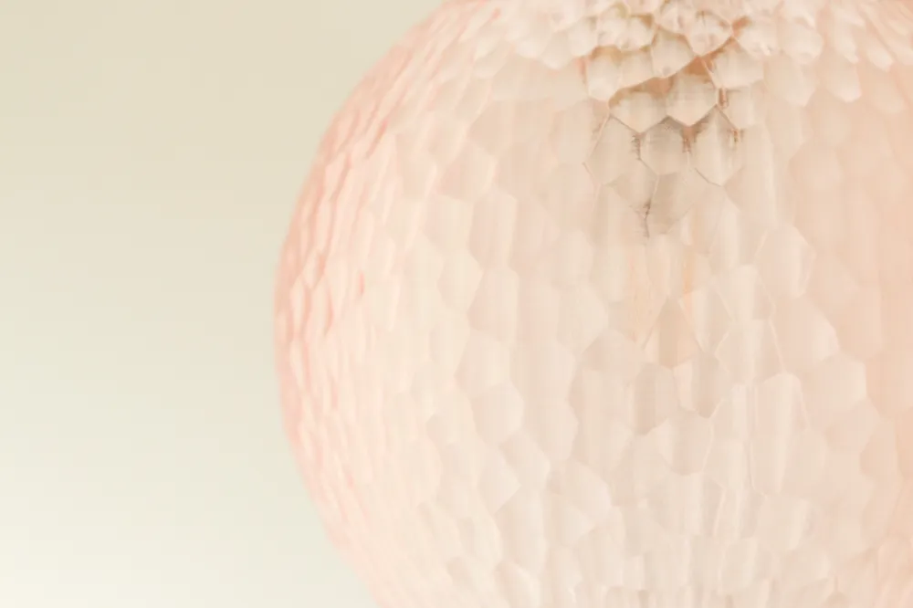 Lamp Shade 6.0 - Spiralvase - Free 3D Print Model - MakerWorld