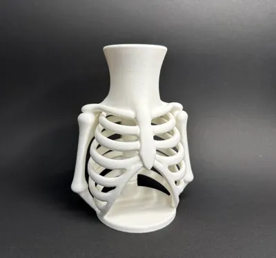 Silent Anatomy – The Bone Vase by ArtLynx MakerWorld: Download Free 3D ...