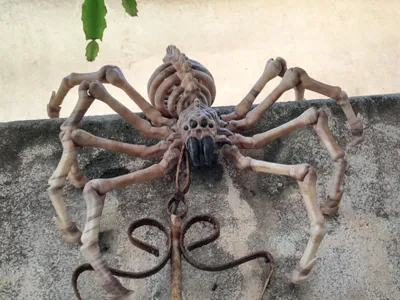 jumping spider 3d print model download - MakerWorld