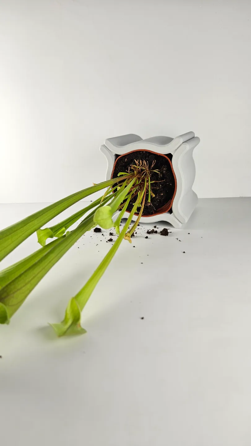 Omni Planter by SMACKMAX - MakerWorld