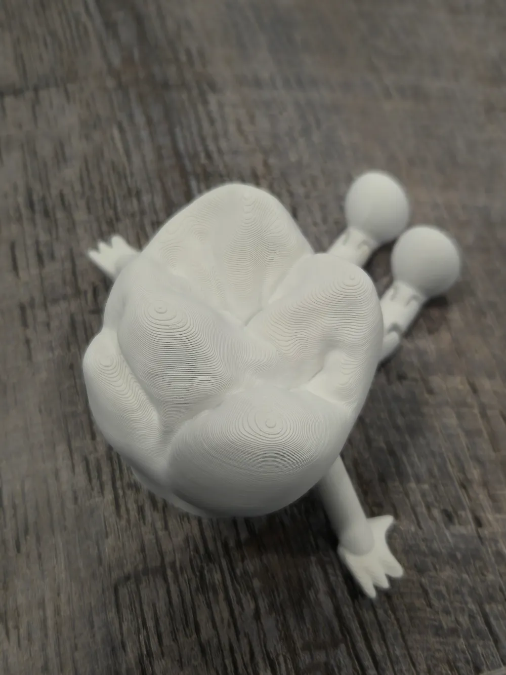 Molar Tooth Buddy - Anatomically Correct by drshelby MakerWorld ...