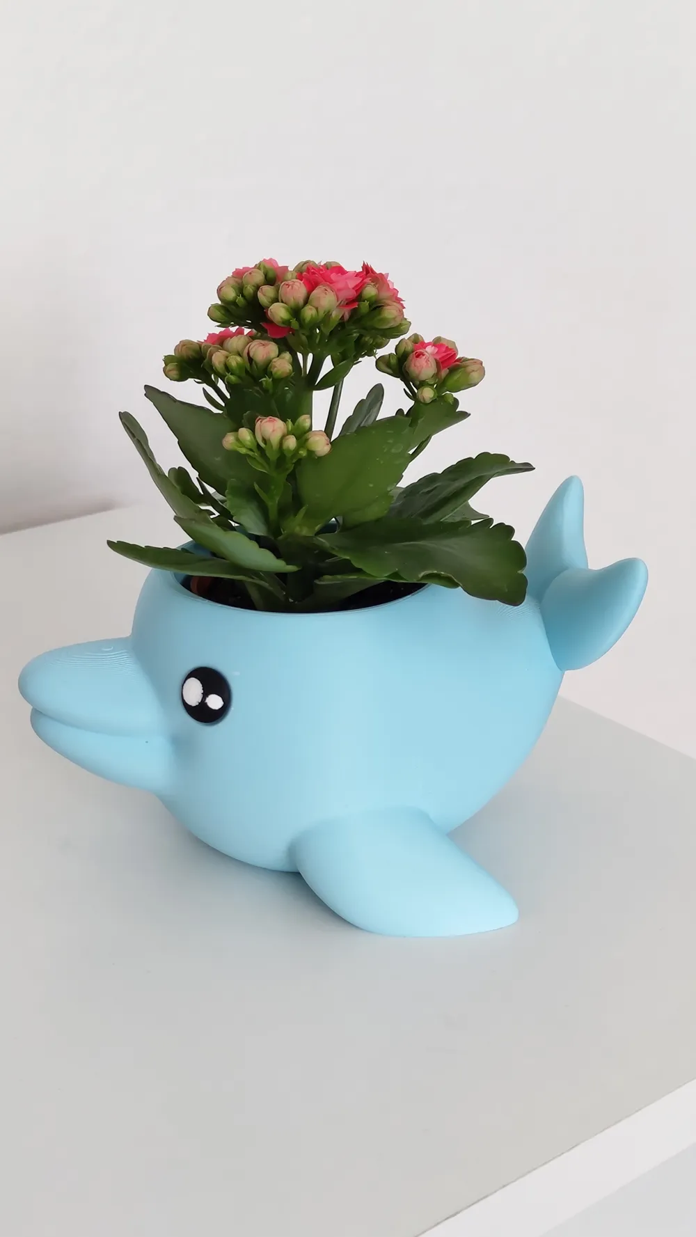 Dolphin flower pot - Free 3D Print Model - MakerWorld