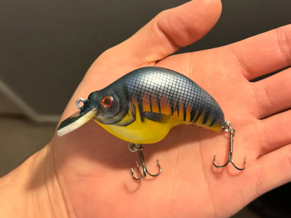 Crankbait Lure for Bass, Fishing Lure, Jigging by Jvss Designs ...