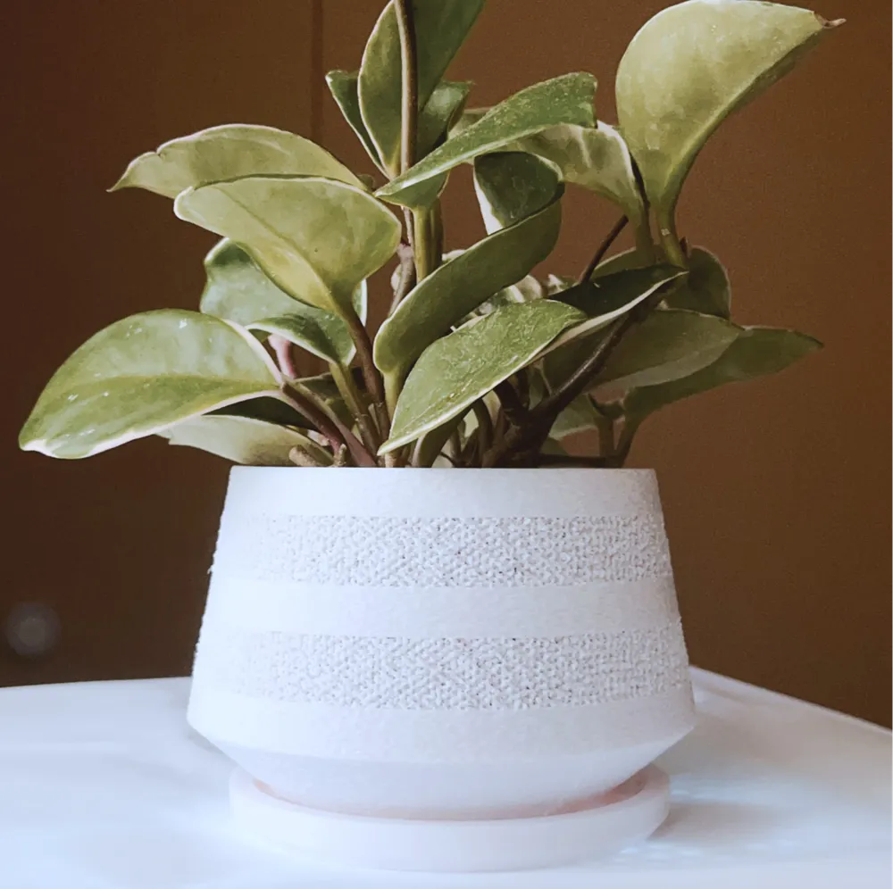 Cool Plant Pot by KamiYui - MakerWorld
