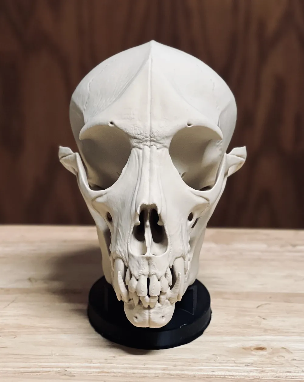 Hyperrealistic Werewolf Skull v2024 by idrawcrap MakerWorld: Download ...