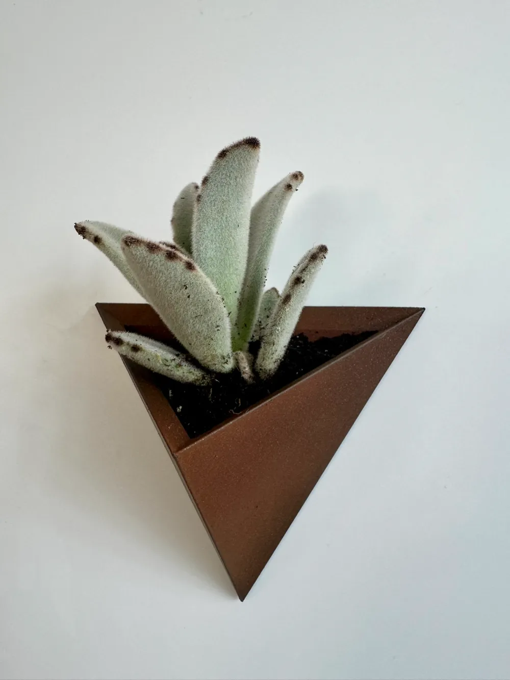 Planter - Macetero: Reinventing Your Plant's Home by KookiTools ...