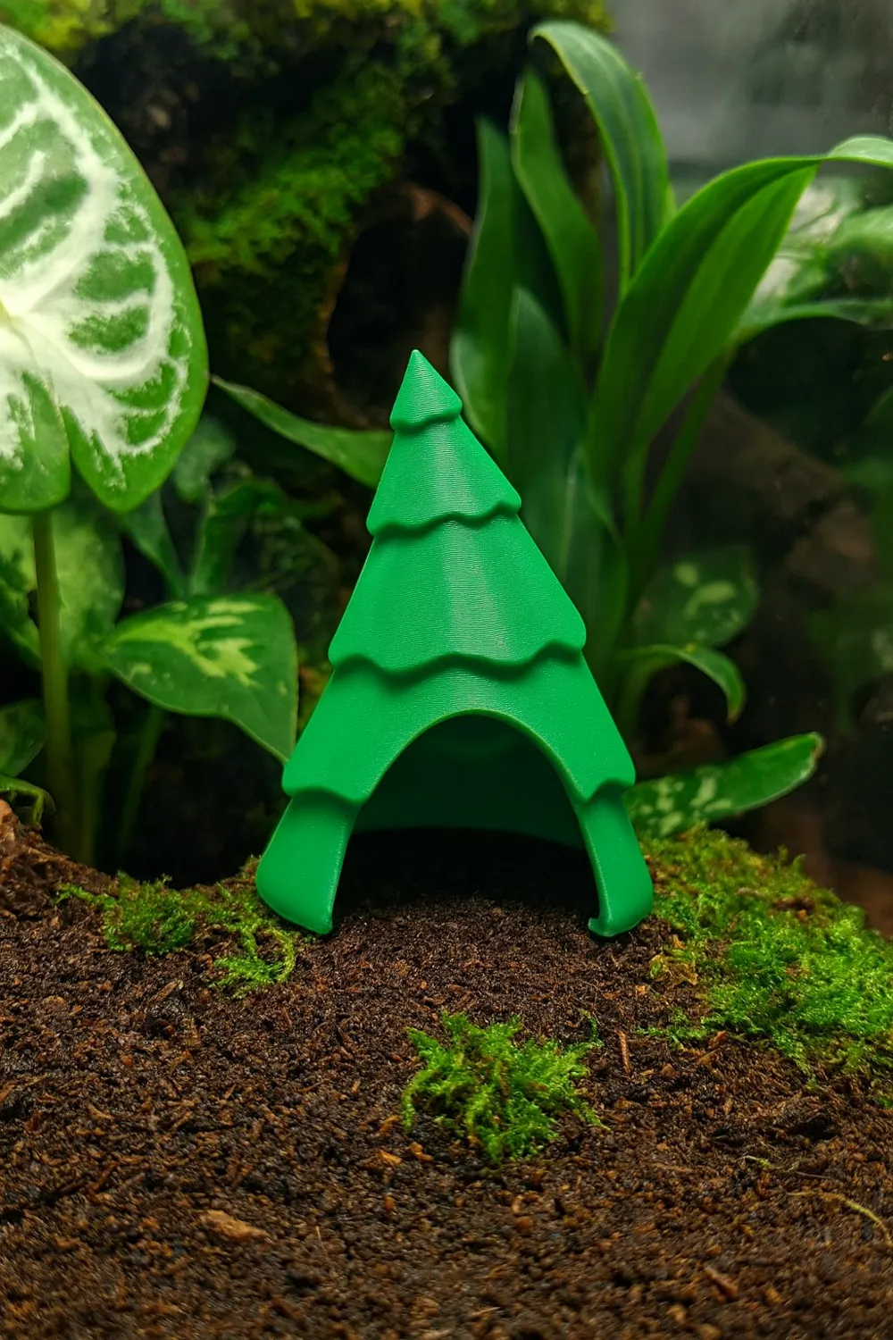 Christmas Tree Reptile Hide - Free 3D Print Model - MakerWorld