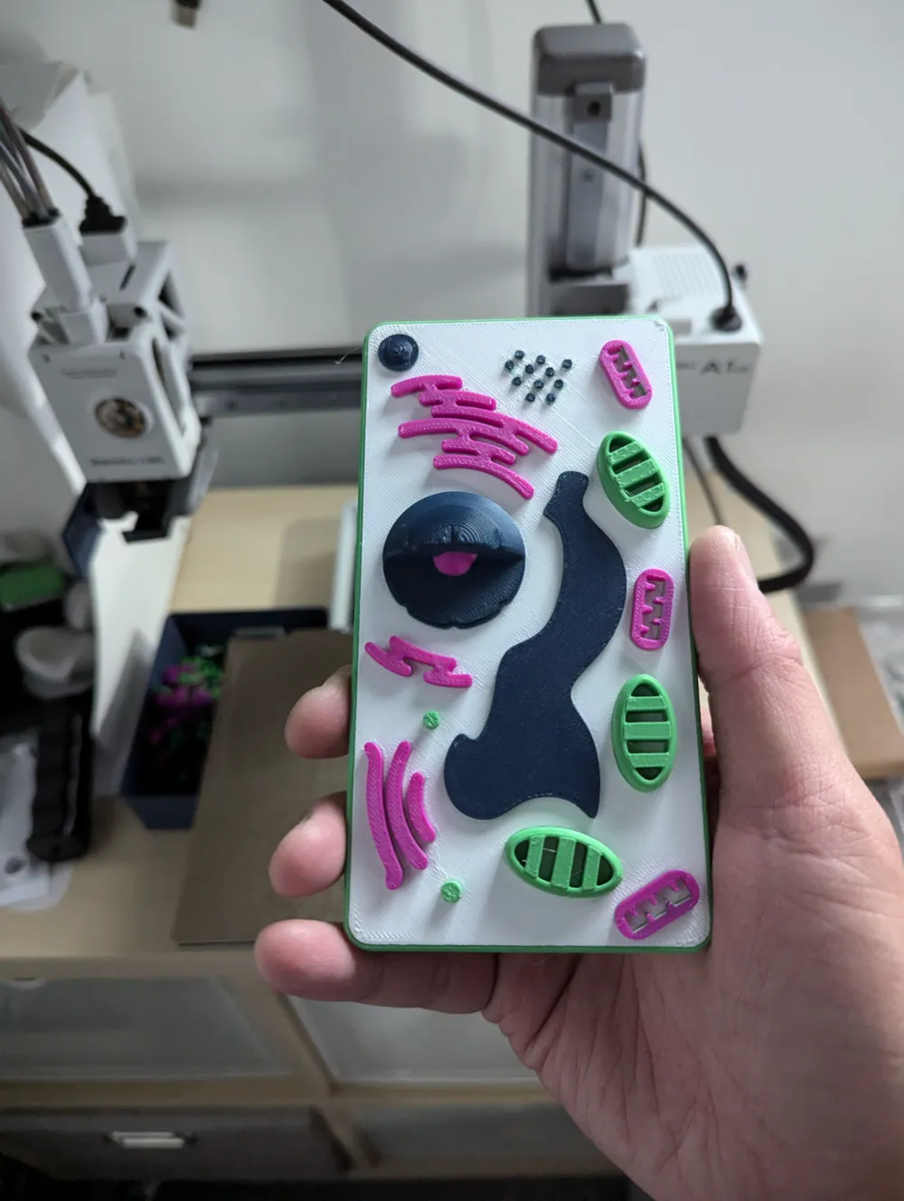 Plant Cell Phone Model 3D Diorama by LAYRLAB - MakerWorld