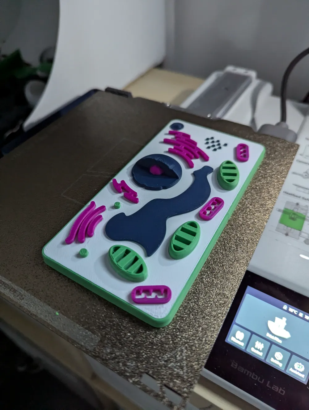 Plant Cell Phone Model 3D Diorama by LAYRLAB - MakerWorld