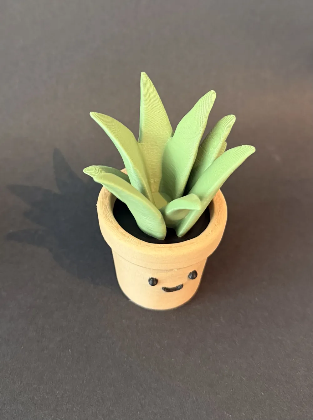 Happy Mini Plants – small 3D decoration - Free 3D Print Model - MakerWorld