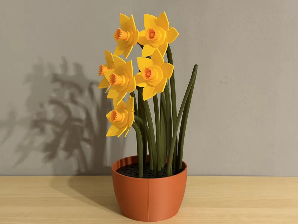 Daffodil Flower - Modular by Lukas MakerWorld: Download Free 3D Models