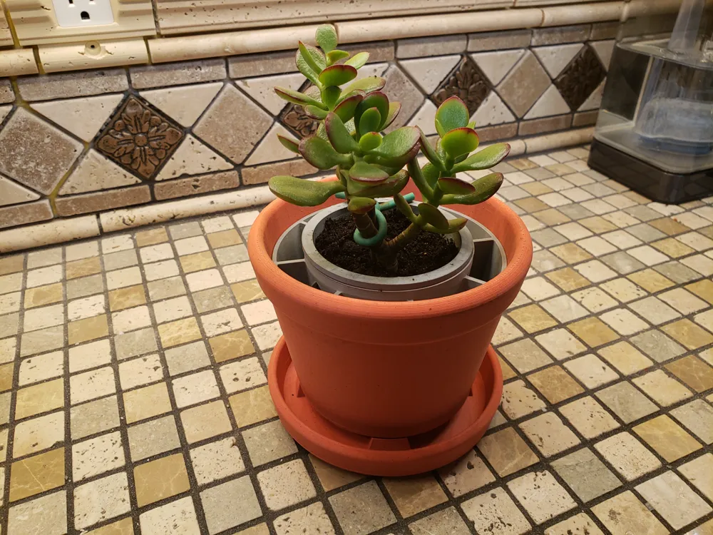 8.7" Jade Planter-w/ Aeration prevents root rot by BigSarge207 - MakerWorld