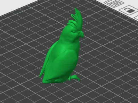 Cockatiel 1hr by Cooper Radloff - MakerWorld