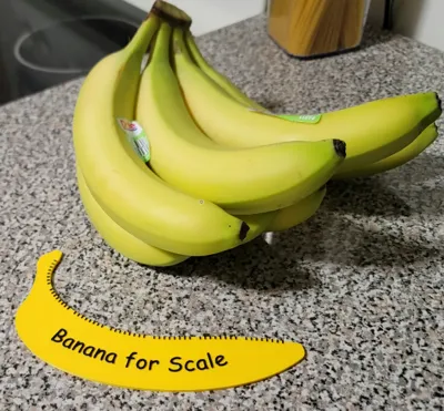 Banana for Scale by DJSGXII - MakerWorld
