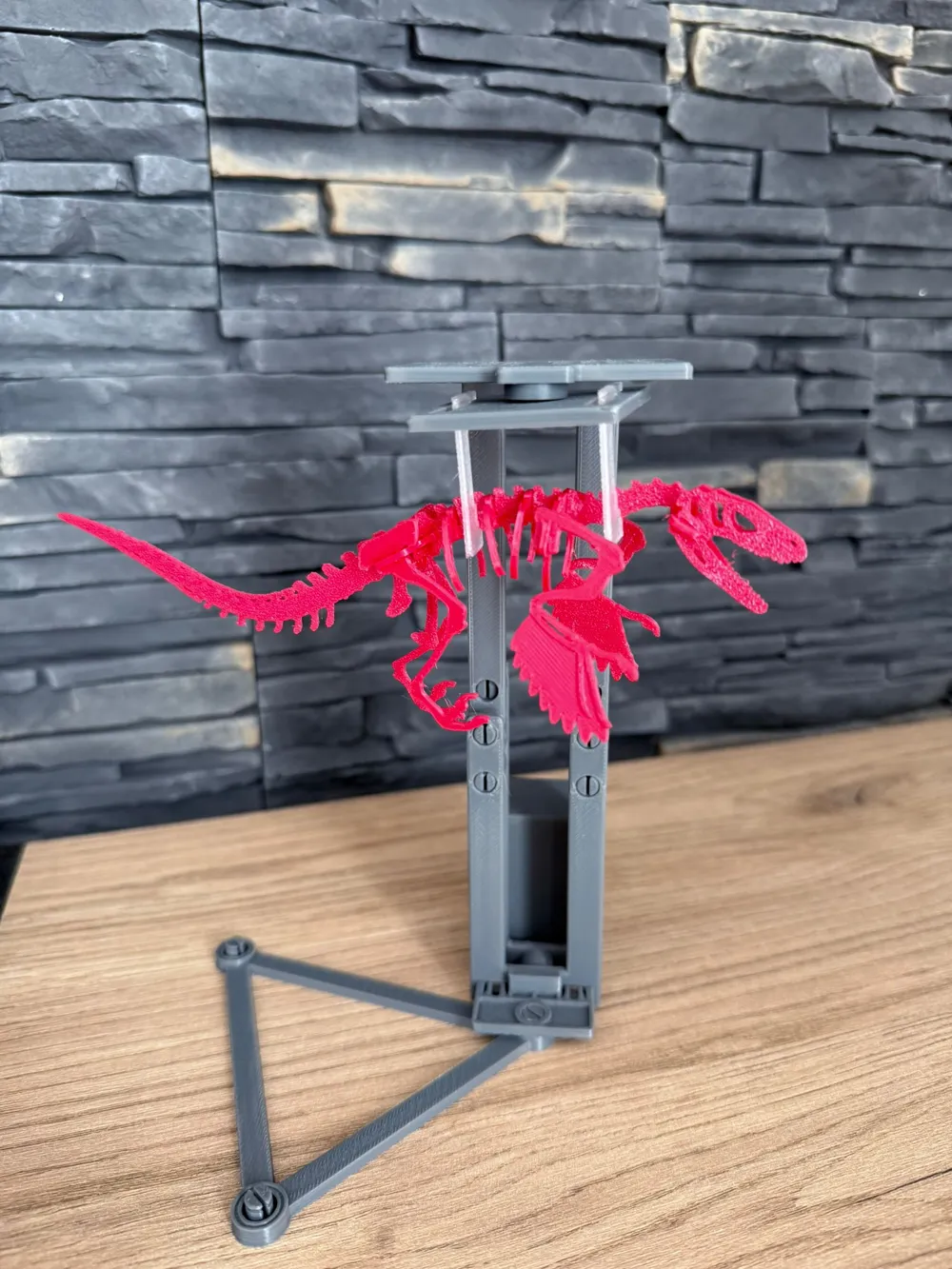 Dino 3D Puzzle by Maraxos3D MakerWorld: Download Free 3D Models