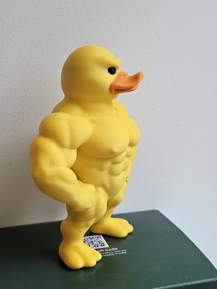 Muscular Rubber Duck funny toy by FabLab_ee MakerWorld: Download Free ...