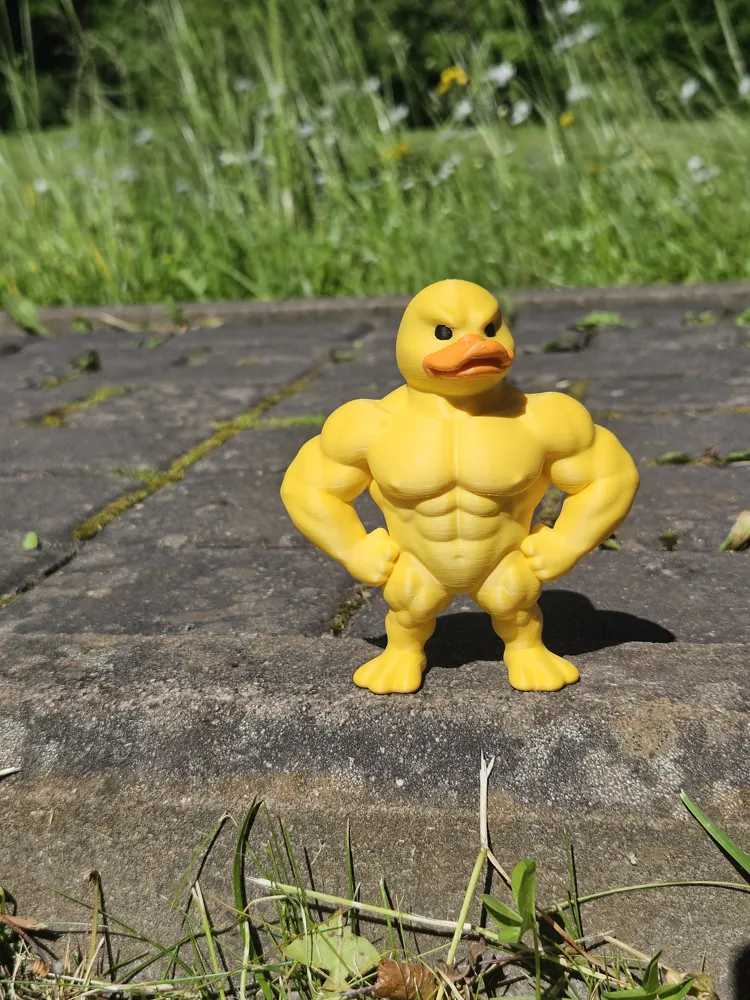 Muscular Rubber Duck funny toy by FabLab_ee MakerWorld: Download Free ...