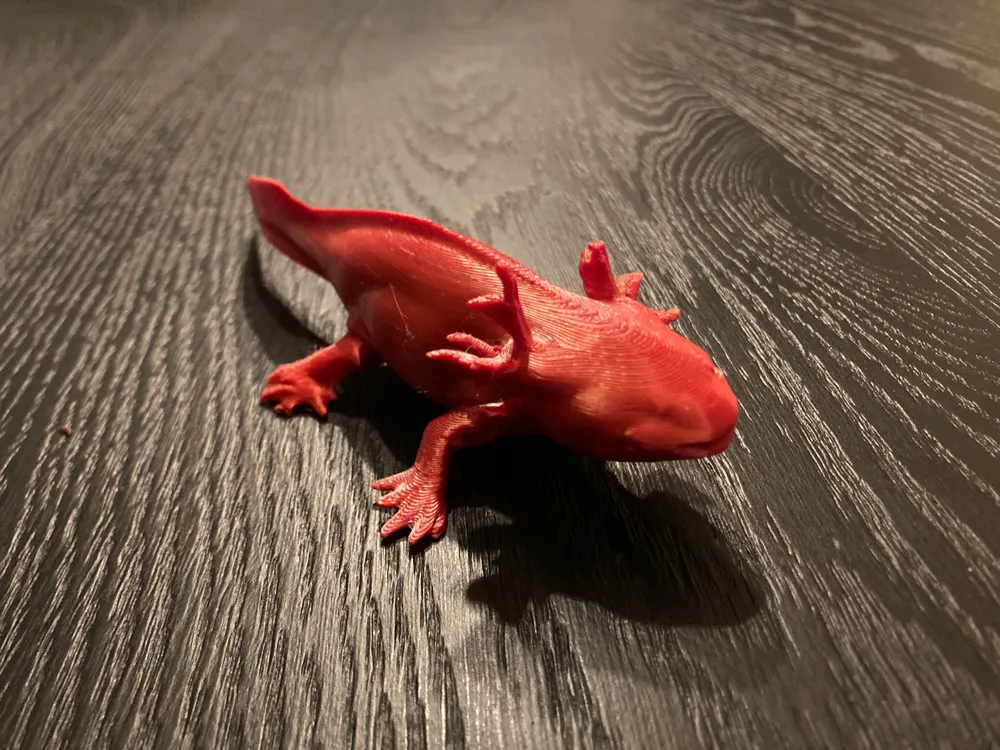 Axolotl – Kostenloses 3D-Druckmodell – MakerWorld
