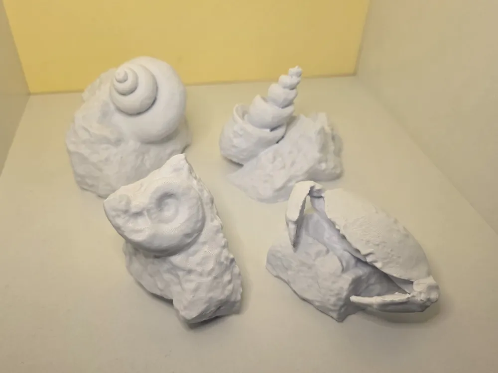 Life‑size collection of fossil 3D scans - Free 3D Print Model - MakerWorld