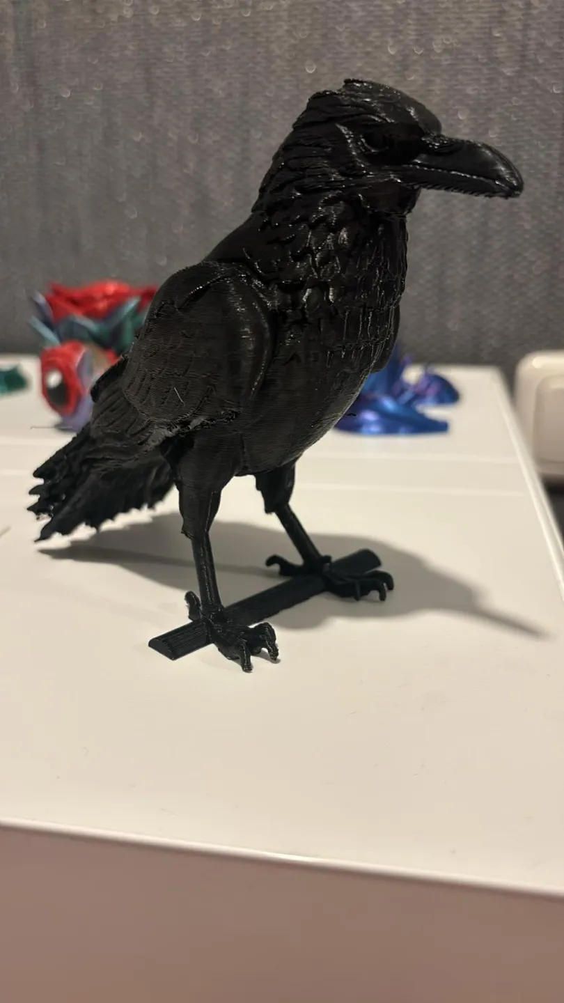 Preening (Puffing) Raven for balcony Remixed by Frank_druckt_3D_auf_TikTok MakerWorld: Download ...