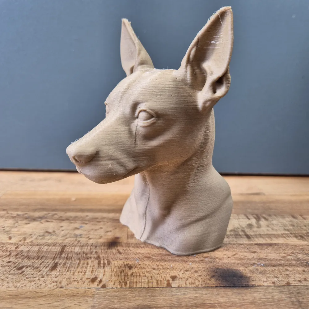 Rat Terrier Bust by Mr.Jay MakerWorld: Download Free 3D Models