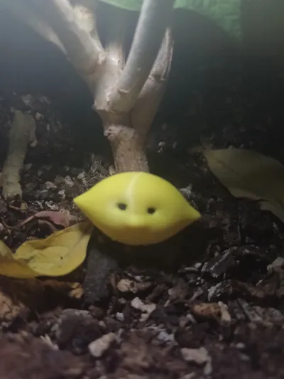 Lemon Man by Josep - MakerWorld