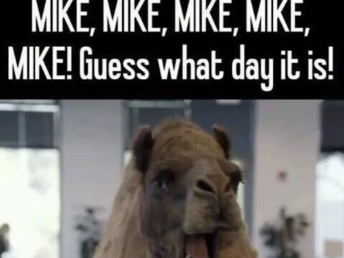 Mike, Mike, Mike! Ratet mal, welcher Tag ist! - Bergfest – Kostenloses ...