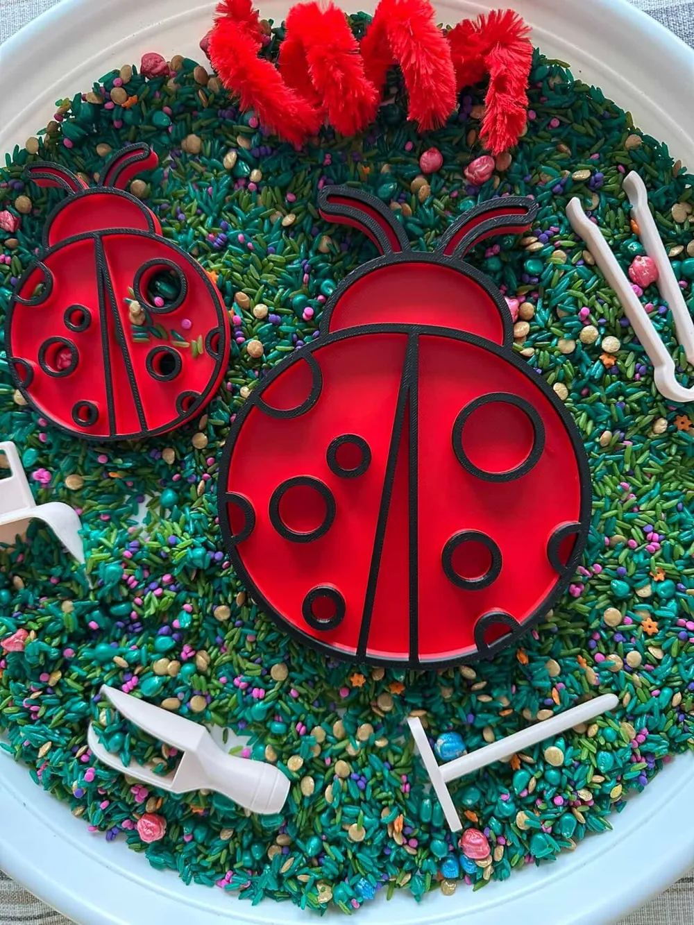 LADYBUG SENSORY BOARD + SIEVE - Free 3D Print Model - MakerWorld