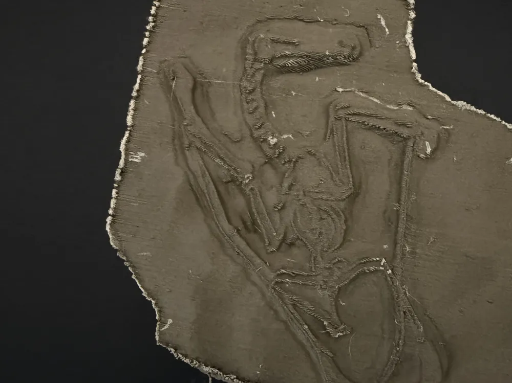 Jurassic Park by WangRY MakerWorld: Download Free 3D Models