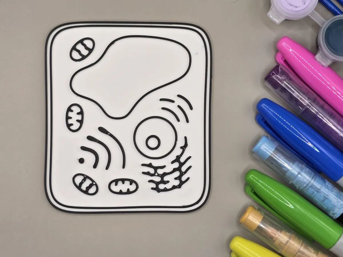 Plant Cell Anatomy Coloring Craft - Free 3D Print Model - MakerWorld