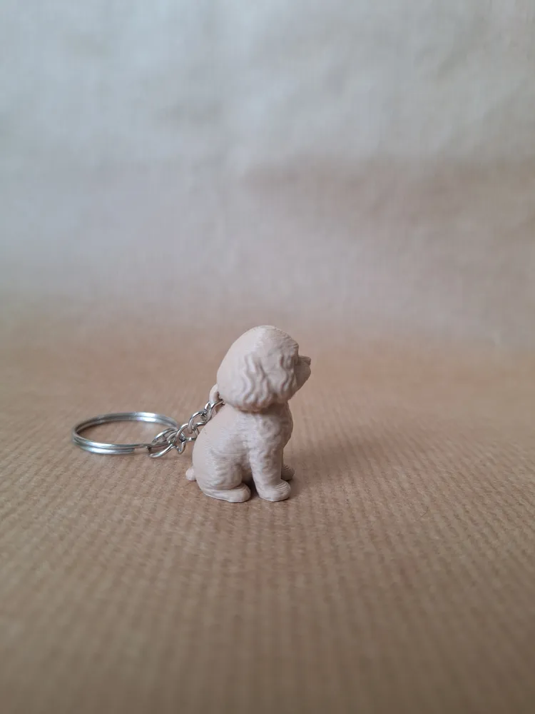 Cavapoo Keychain - Free 3D Print Model - MakerWorld