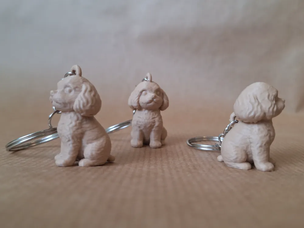 Cavapoo Keychain - Free 3D Print Model - MakerWorld