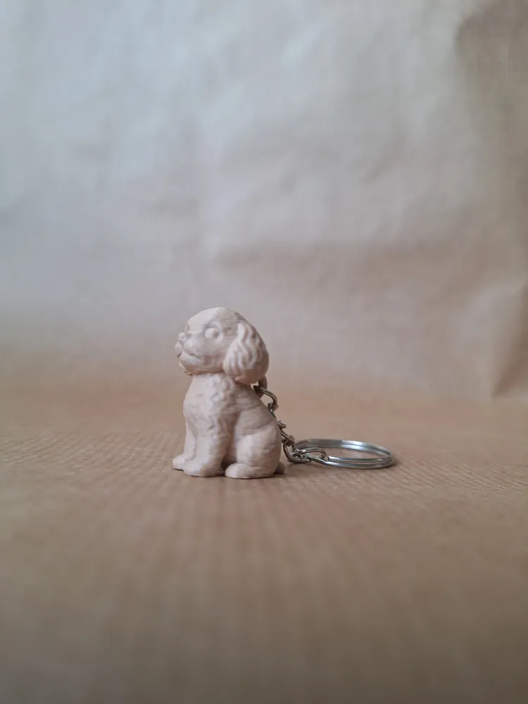 Cavapoo Keychain - Free 3D Print Model - MakerWorld