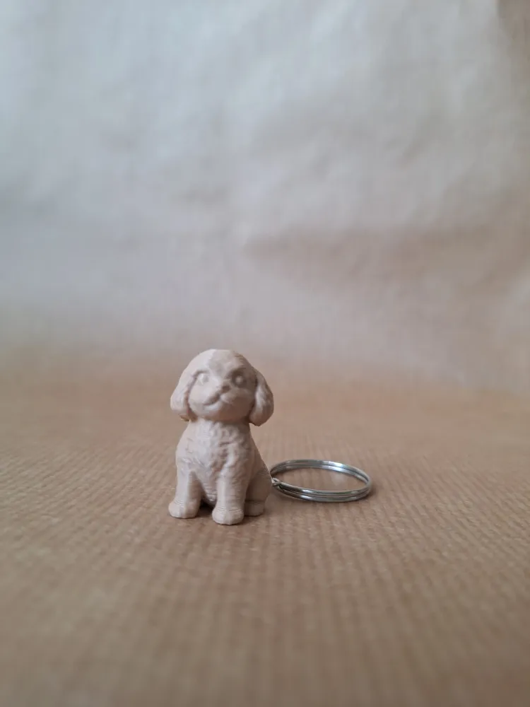 Cavapoo Keychain - Free 3D Print Model - MakerWorld