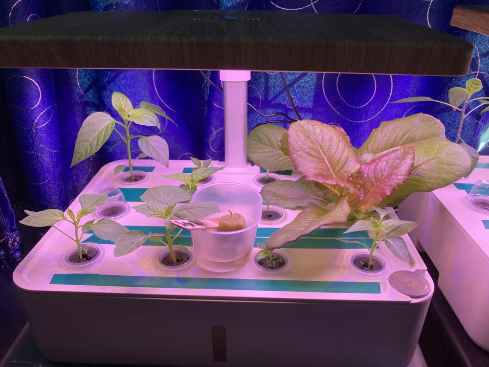 Desktop Hydroponic System Net Pot and Net Cup Covers by ...