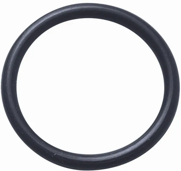 Parametric O Ring - Free 3D Print Model - MakerWorld