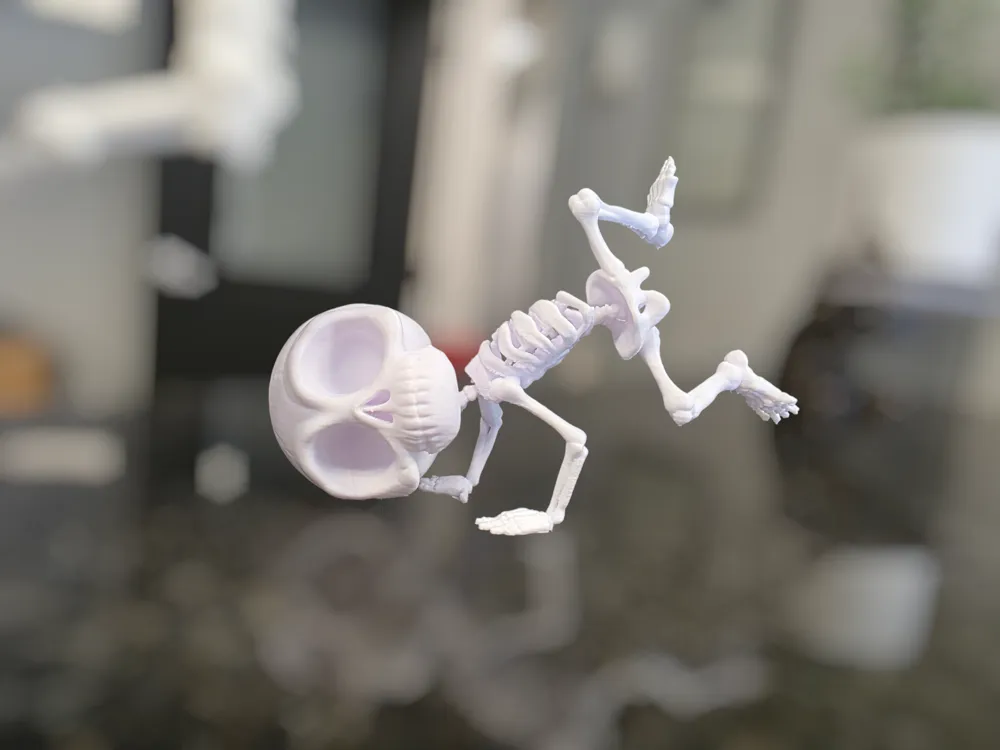 "Chill" Skeleton - Look What I Can Do! - Free 3D Print Model - MakerWorld