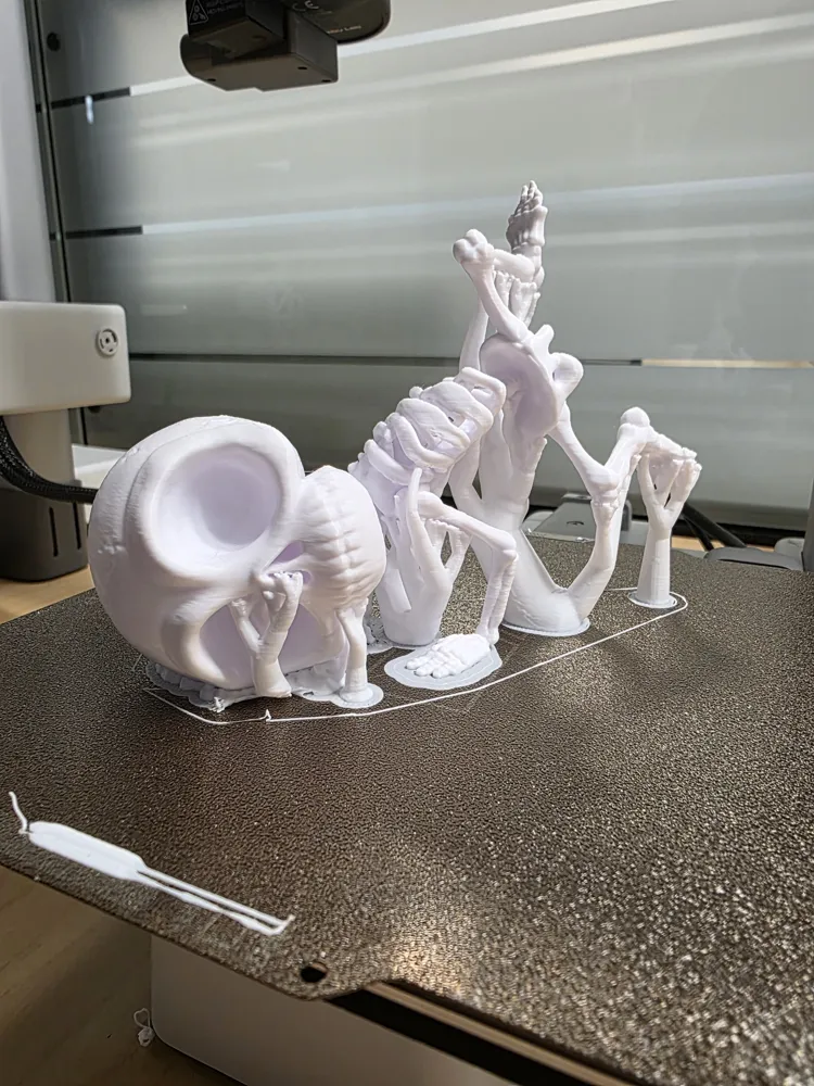 "Chill" Skeleton - Look What I Can Do! by DTM247 MakerWorld: Download ...