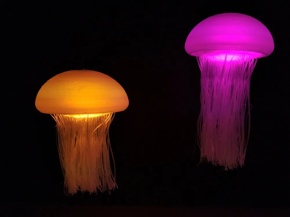 Jellyfish with remote control LED light - Free 3D Print Model - MakerWorld